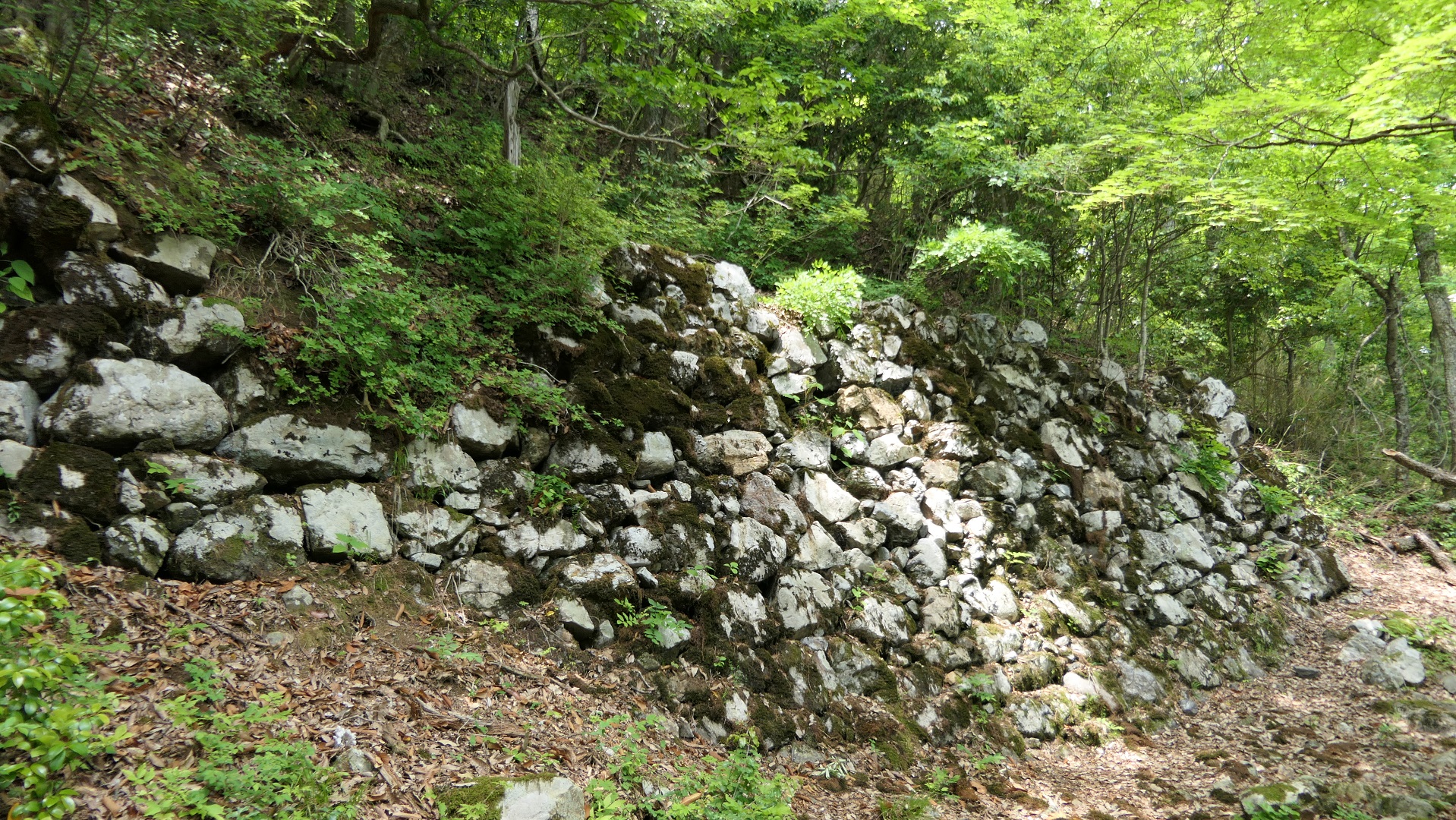 156.Kamaha Castle Part1 – 日本200名城バイリンガル (Japan's top 200 castles and ruins)