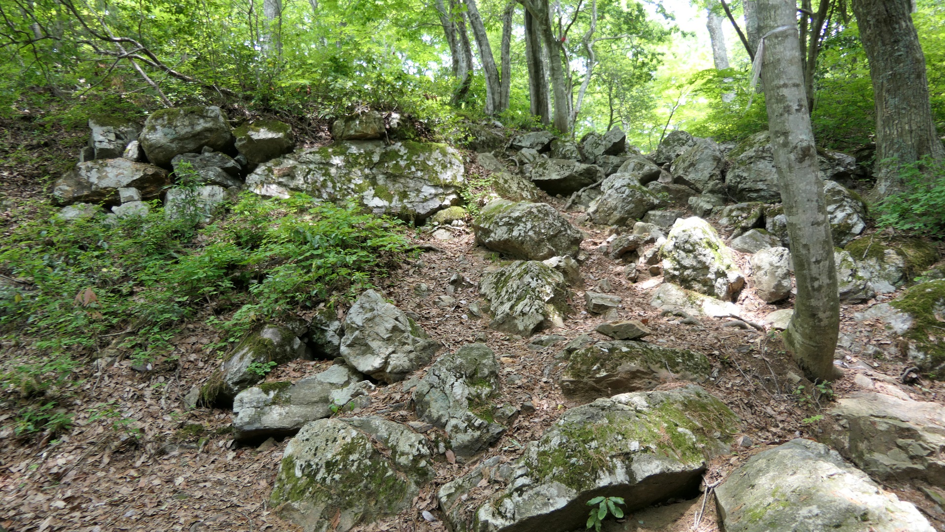 49.Odani Castle Part3 – 日本200名城バイリンガル (Japan's top 200 castles and ruins)