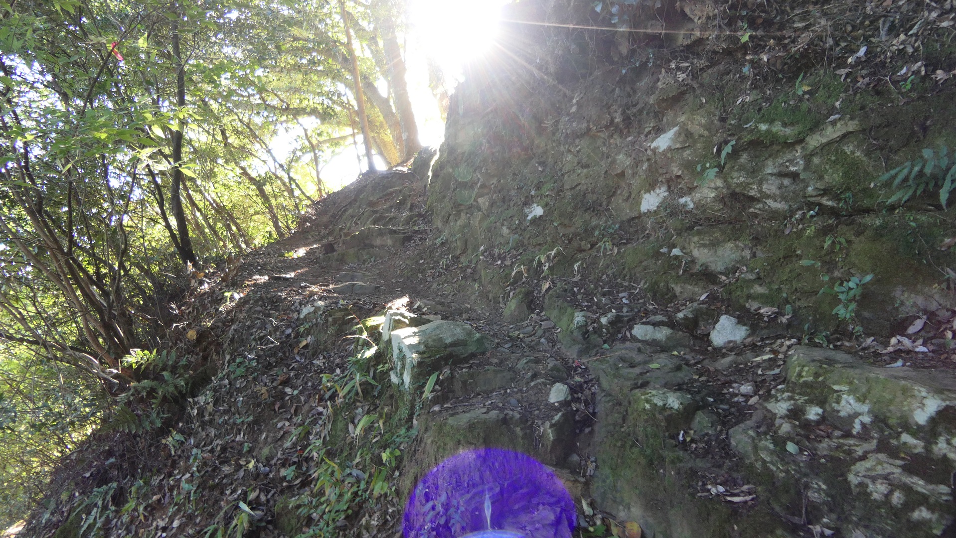 174.Ouchi Clan Hall/Konomine Castle Part2 – 日本200名城バイリンガル (Japan's top ...