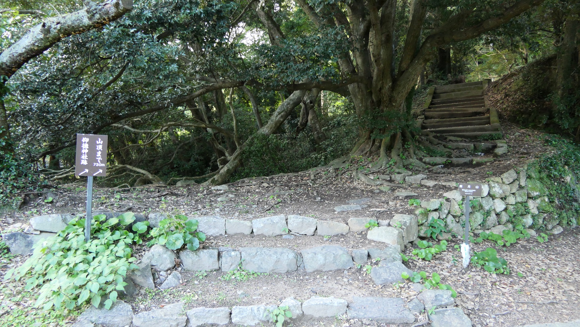 75.Hagi Castle Part3 – 日本200名城バイリンガル (Japan's top 200 castles and ruins)