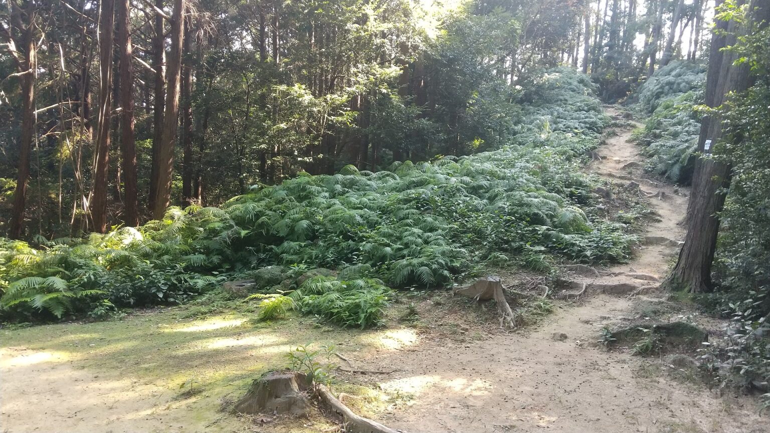 186.Kaneda Castle Patr3 – 日本200名城バイリンガル (Japan's top 200 castles and ruins)